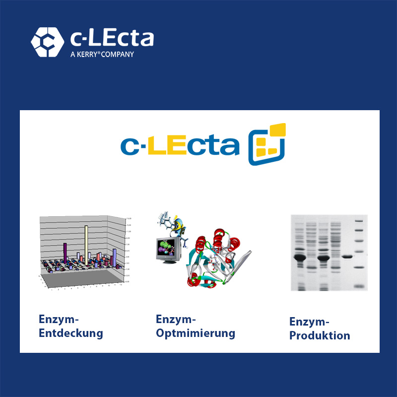 c-LEcta celebrating 20 years - Story