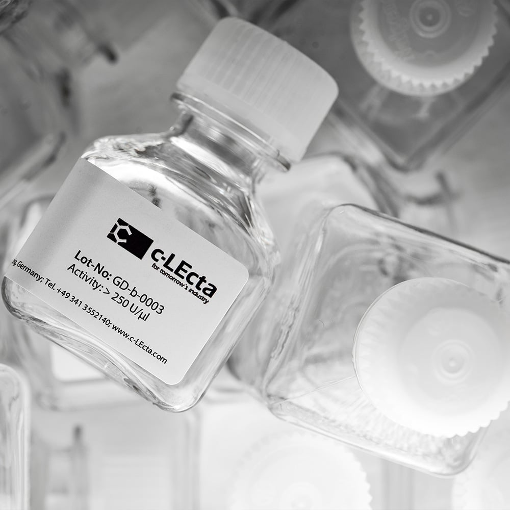 Projekte | c-LEcta GmbH